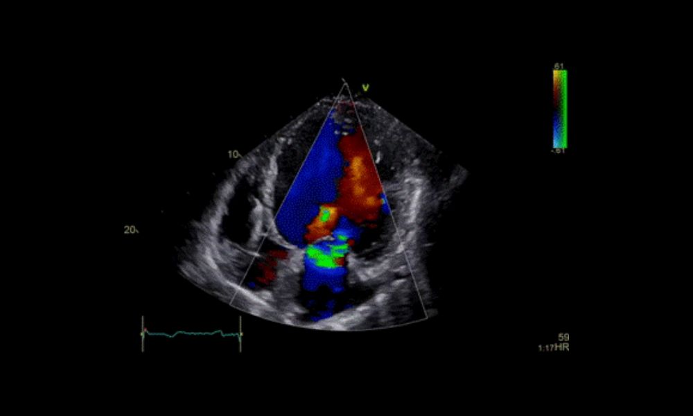 Serviços – Manuel Massa